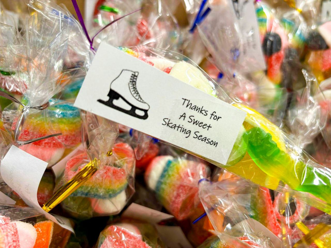 ICE SHOW :: East St. Paul Skating Club